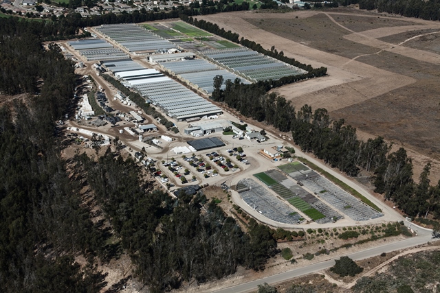 Greenheart Farms - Contact