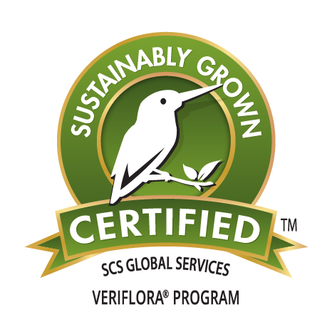Greenheart Farms - Veranda® Roses